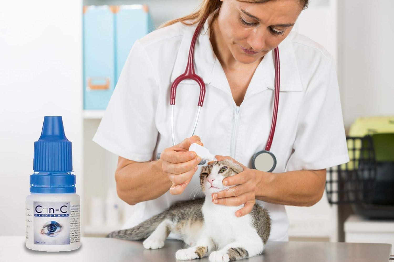 Can-C Eye Drops 5ml Vials (2-Pack) with NAC & L Carnosine - includes ...