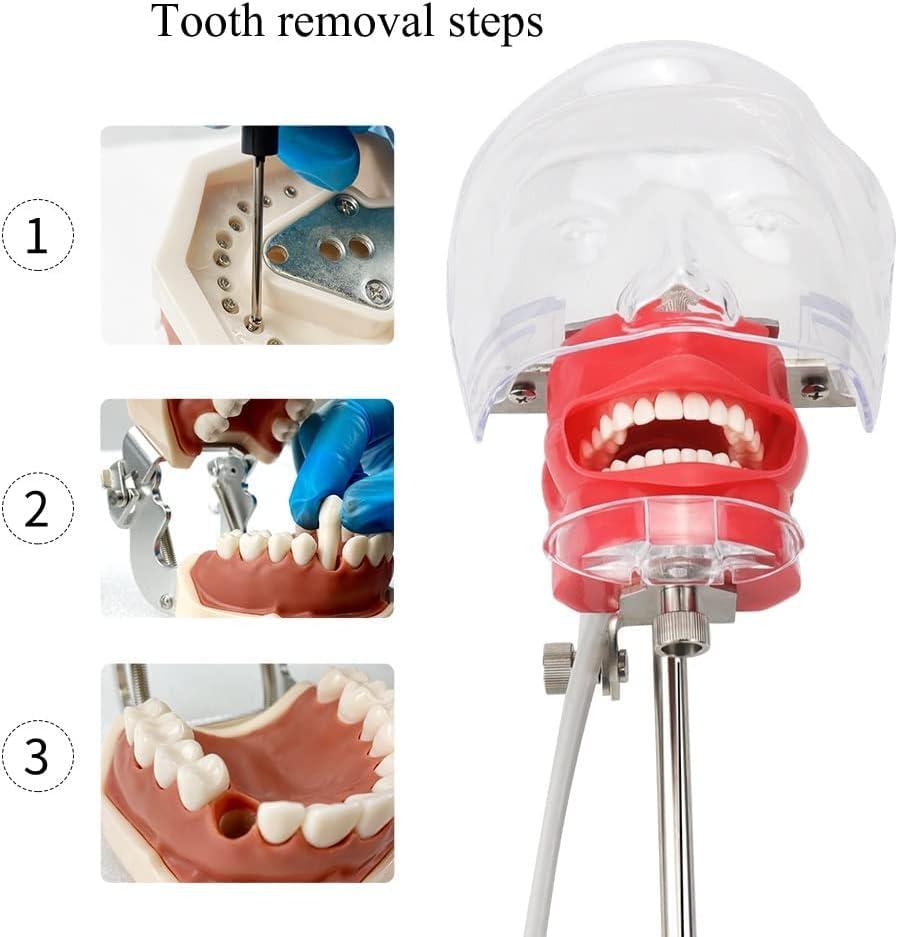 UIGJIOG Dental Surgery Simulator - Realistic Facial Skin Simulation for ...