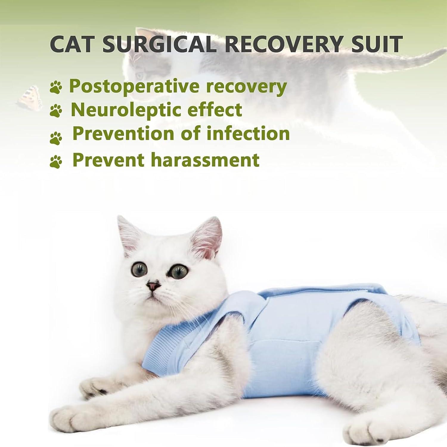 Cat Recovery Suit Cat Professional Surgery Recovery Suit E- Collar ...