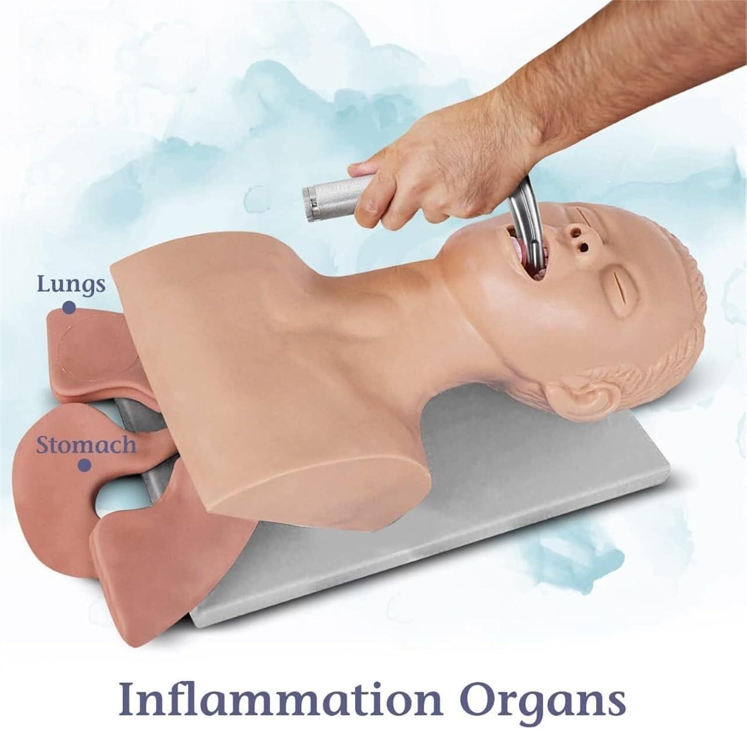 Shop AYGJKIE Tracheal Intubation Simulator Manikin | Oral/Nasal ...