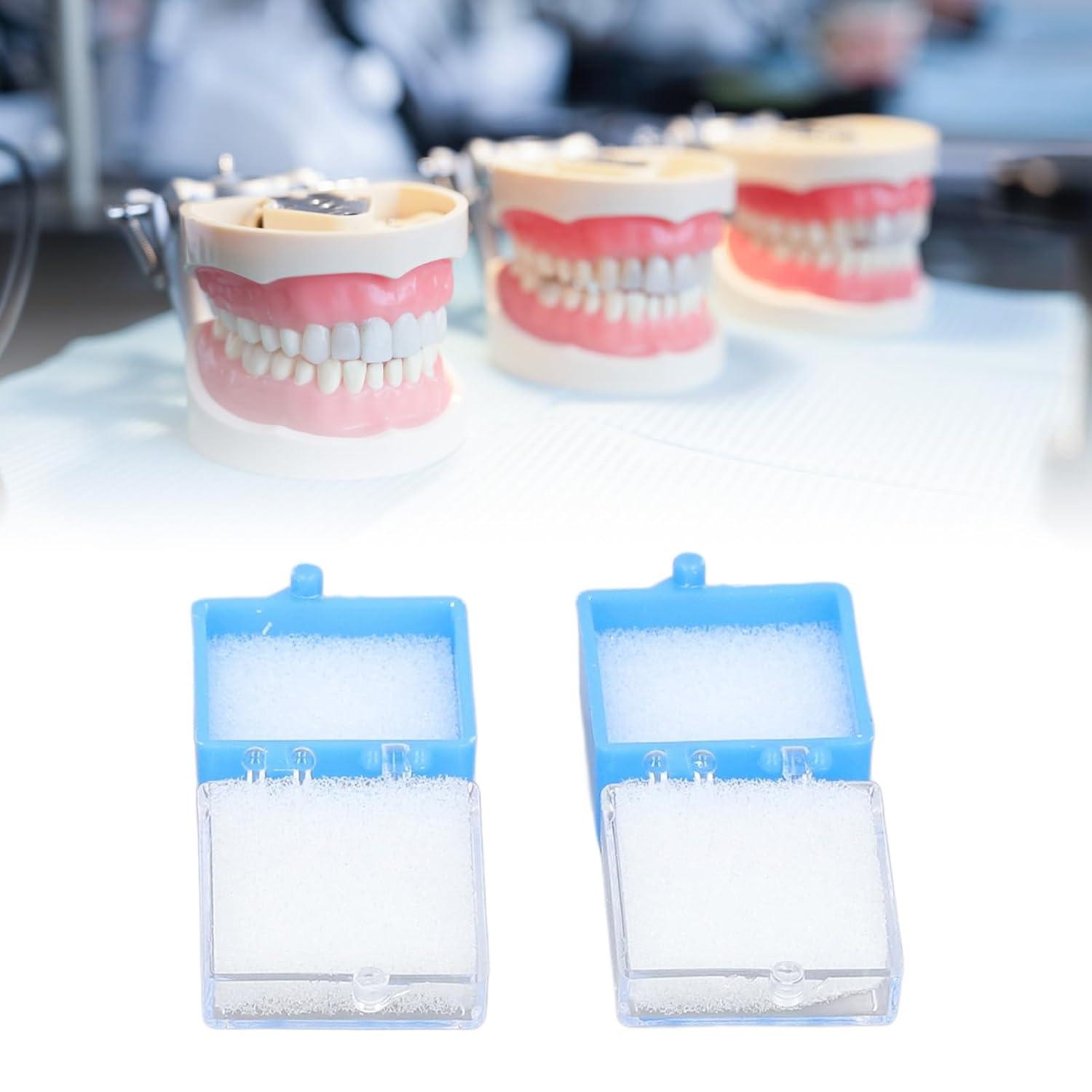 20-Pack Tooth Crown Boxes with Foam | Prosthetic Storage Cases for ...