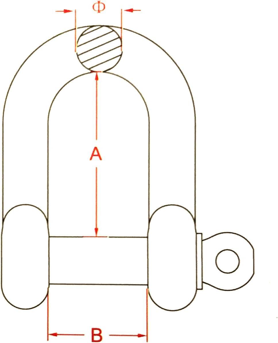 5 Piece Stainless Steel 316 D Shackle 5/32 (4mm) Marine Grade Dee - Set ...