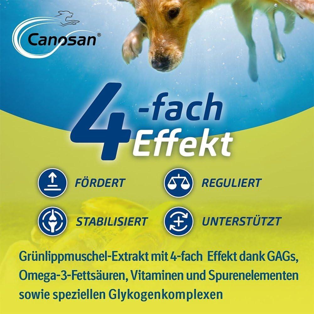 Boehringer Ingelheim CANOSAN 650g Concentrate for Dogs & Cats - Vet ...