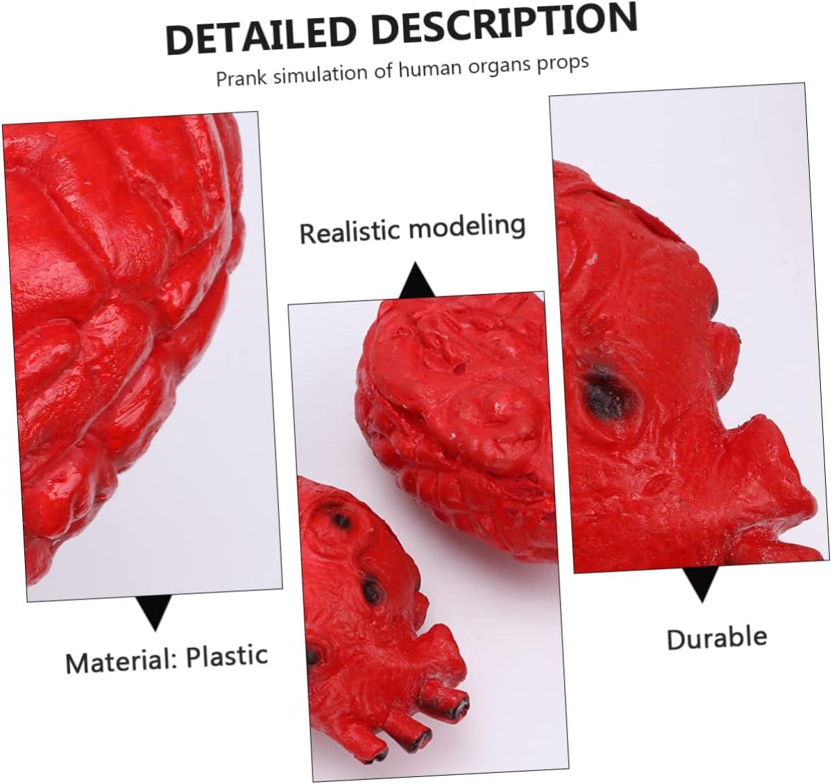 ABOOFAN 2 Pcs Simulated Organ Lunch Box Body Organs Props Fake Body ...