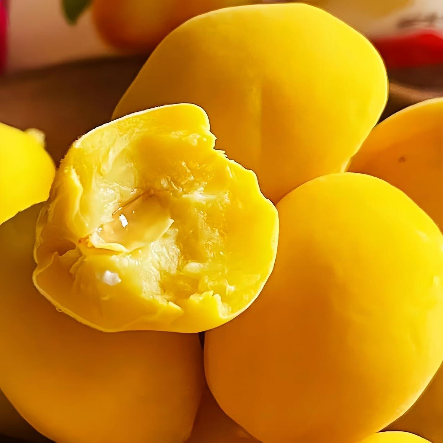 Preserved Fruit Sweet and Sour Peach (30g/pack x 5 packs) Chinese ...