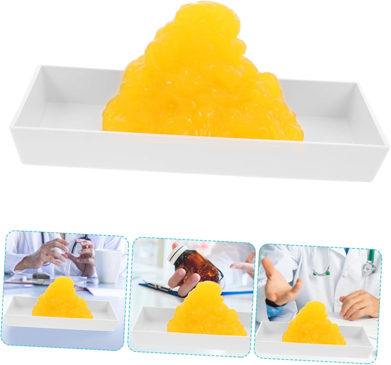 Baluue Fat 1lb Fat Model Manikin Mannequins Body Fat Anatomy Fat ...