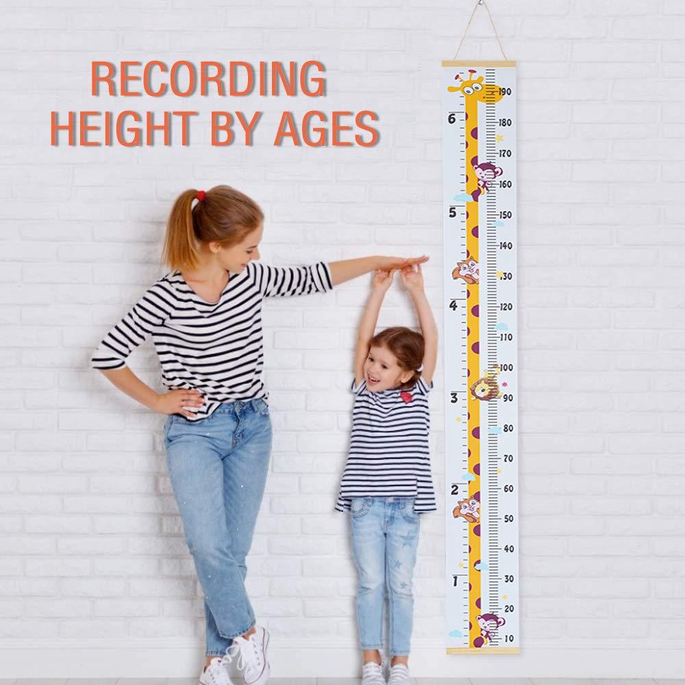 Surplex Children's Growth Measurement Chart - Roll-Up Wall Container ...