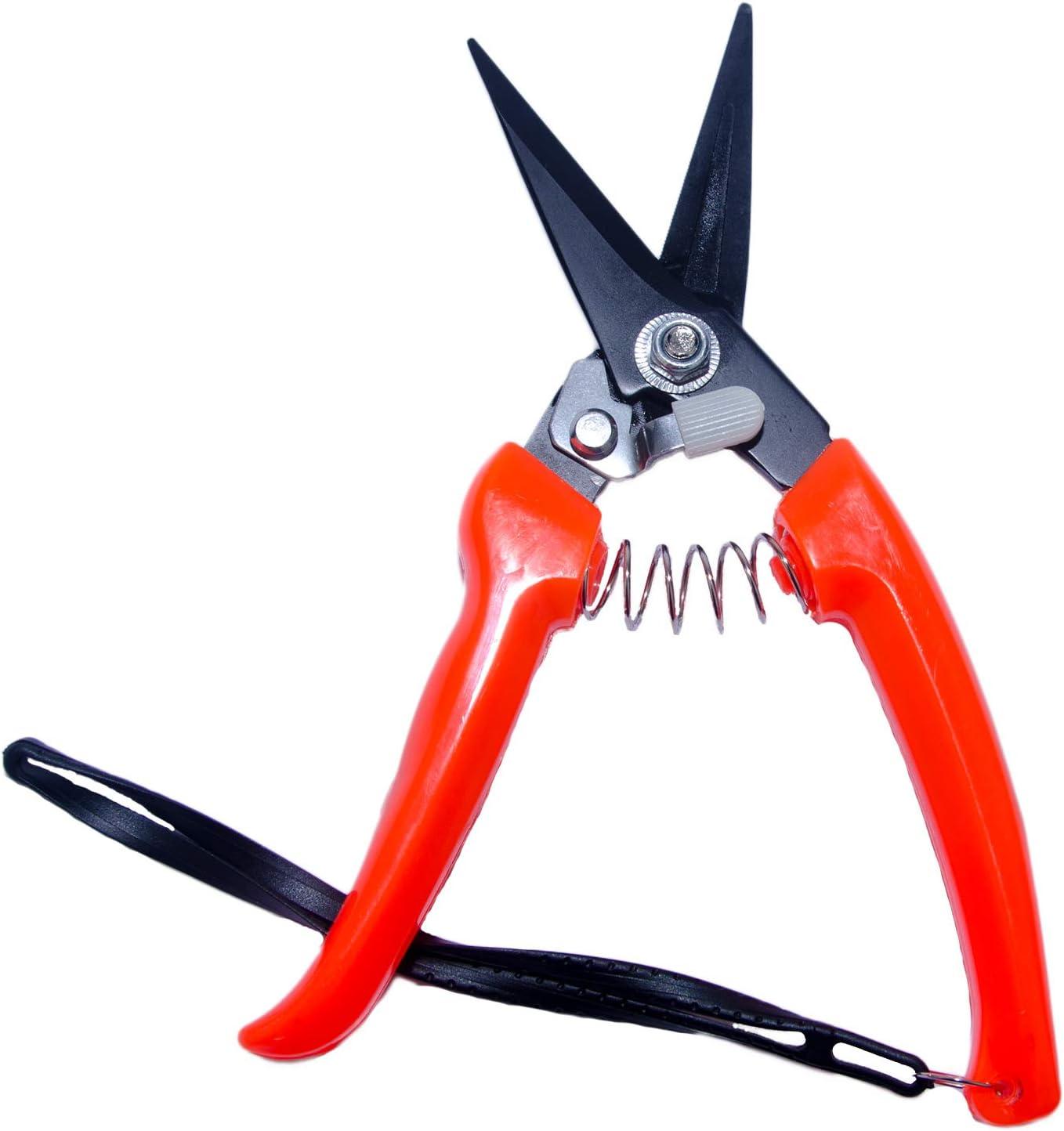 YONGZHAO Footrot Shears Goat Hoof Trimmer Sheep Alpaca Pig Hooves ...