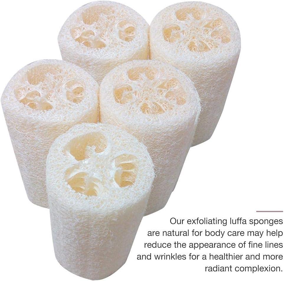 SmarTopus 5-Pack Premium Natural Loofah Sponges - Exfoliating Body ...