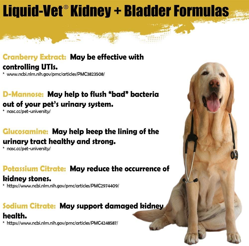 Liquid-Vet Advanced Kidney & Bladder Supplements for Cats with ...