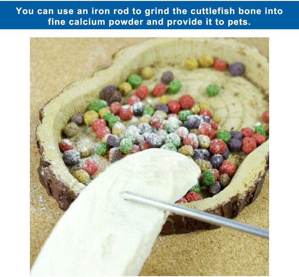 Mivofun Natural Cuttlebone for Tortoise, Turtles, Birds & Small Animals ...