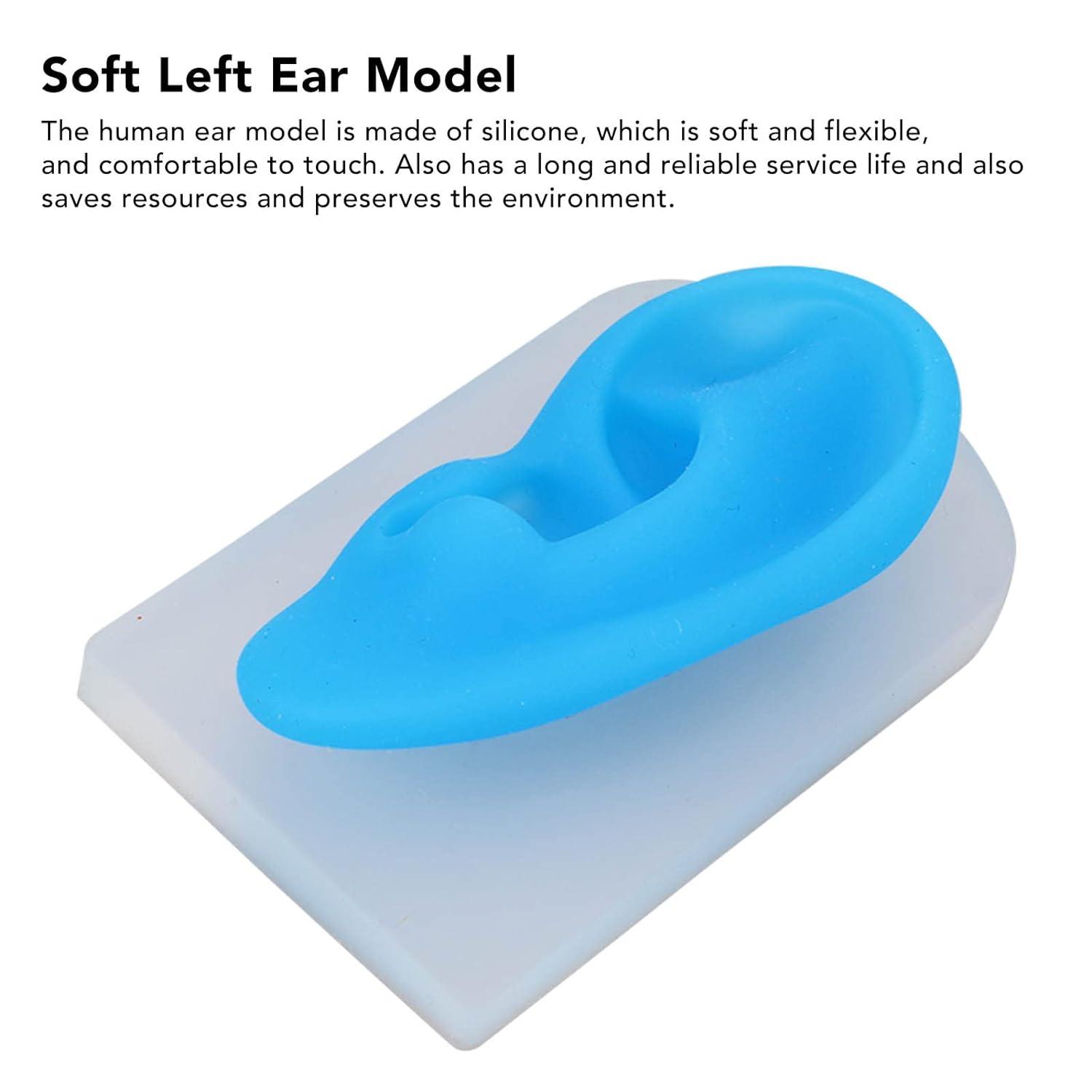 Piercing Ear Model Reusable Left Ear Silicone Ear Model with ...