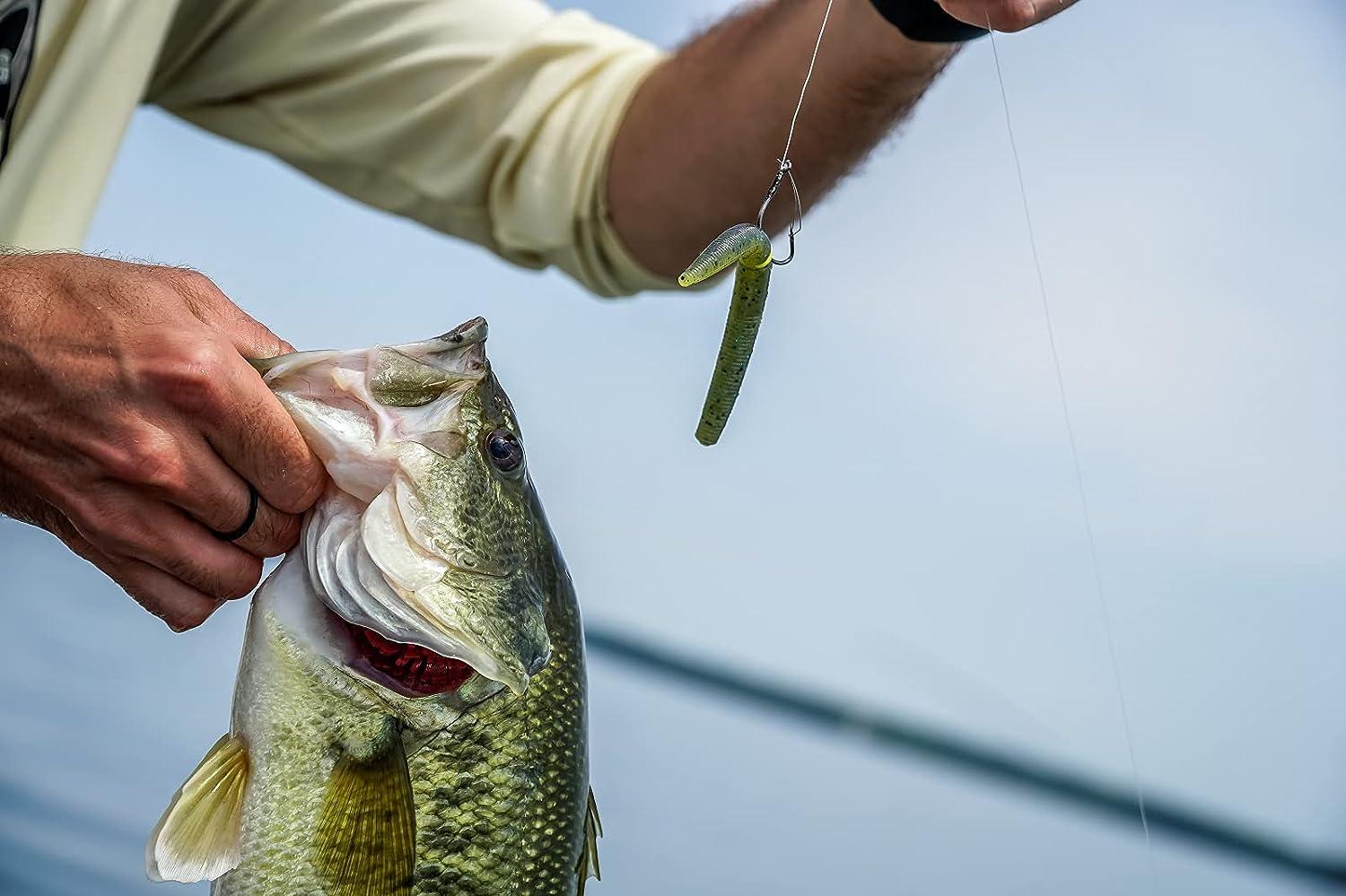 Wacky Rings - 100 pack O-Rings for Wacky Rigging Senko Worms/Soft ...