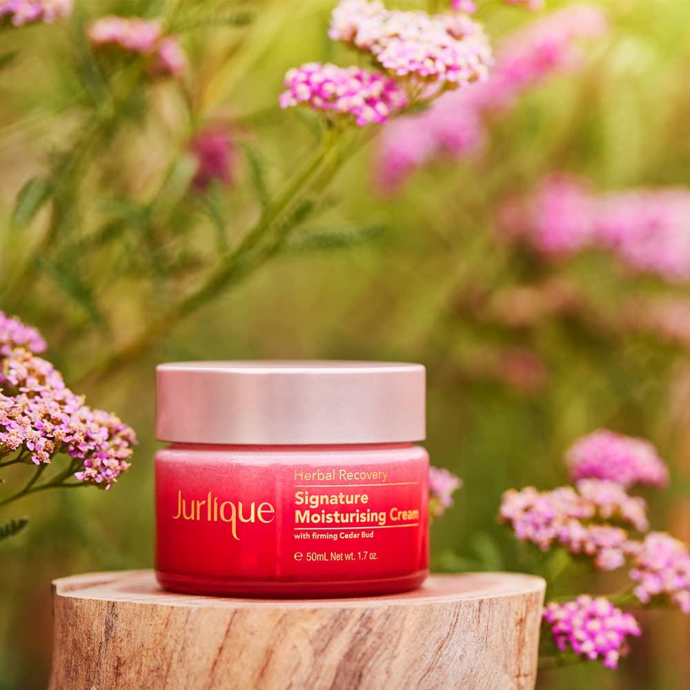 Jurlique Herbal Recovery Signature Face Cream | Moisturizing Facial Moisturizer | Buy Now with ...