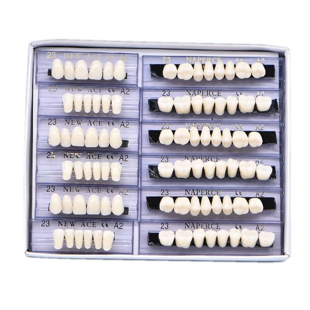168 Pcs Dental Synthetic Resin Tooth Denture 6 Sets False Teeth for ...