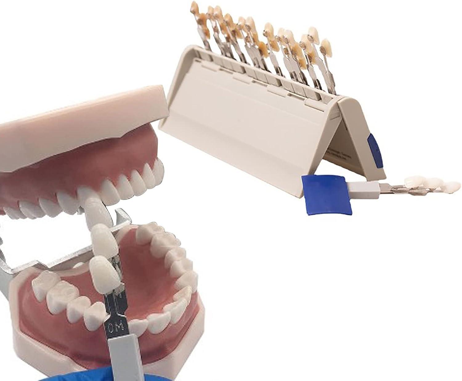 29 Colors Teeth Whitening Shade Guide and Chart - Individual Removable ...