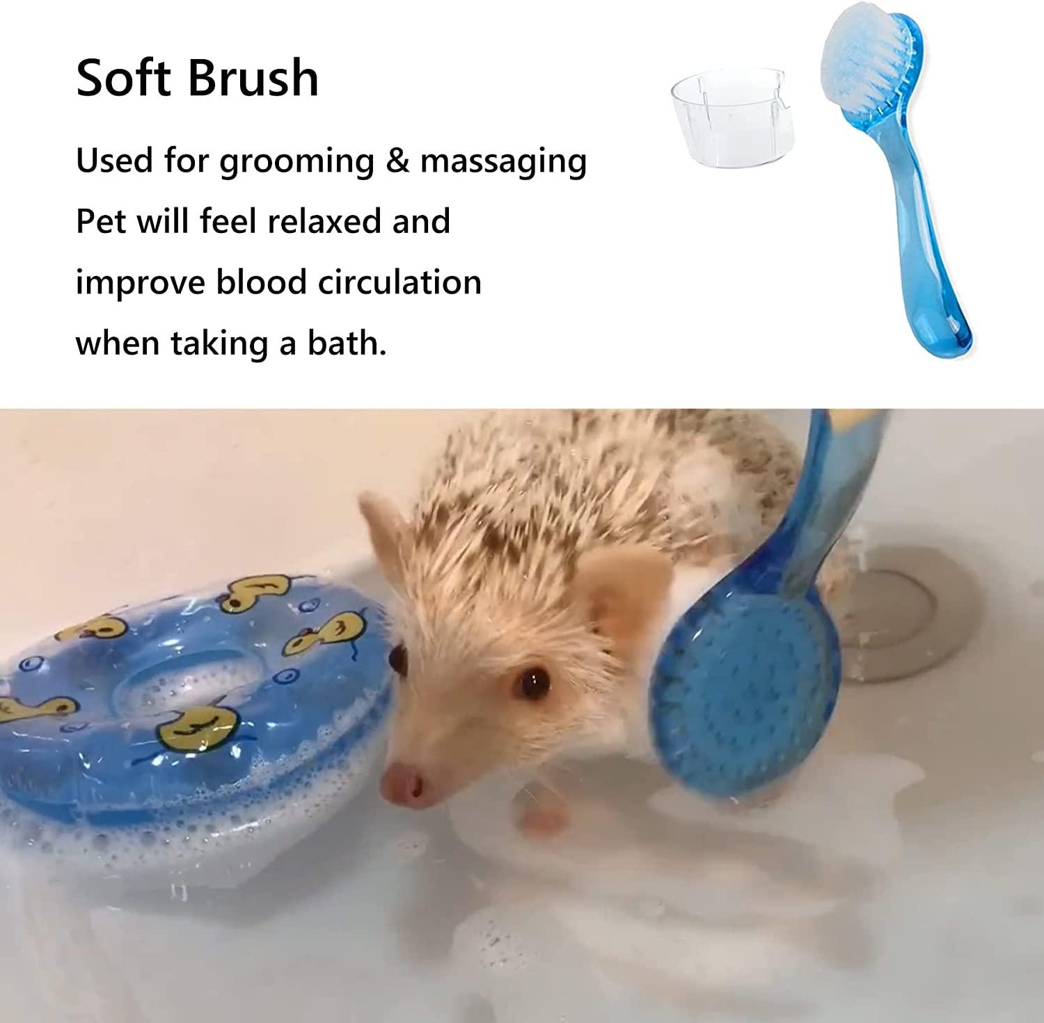 hedgehog bathing tips