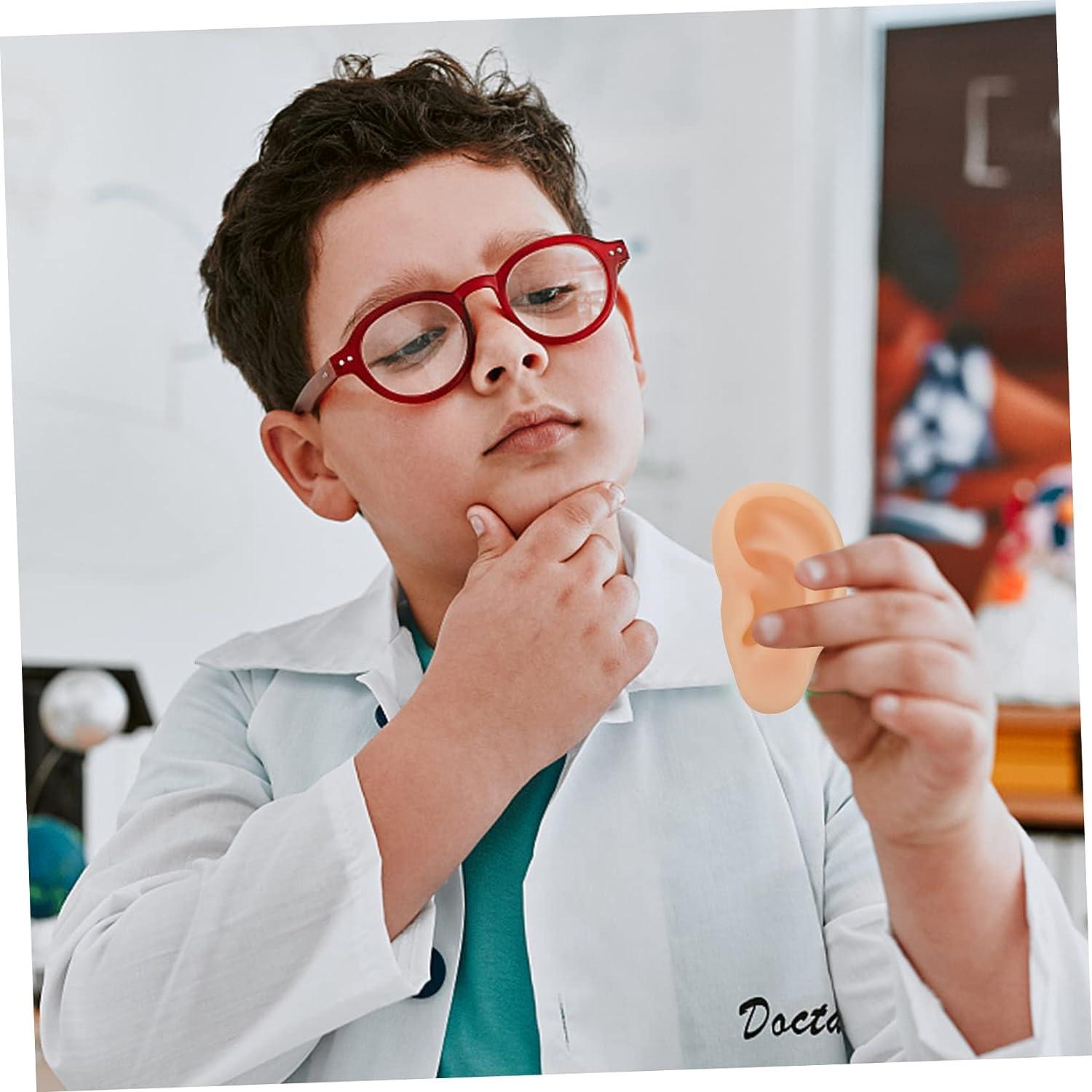 VILLFUL Silicone Ear Model | Specialty Teaching Tool | Artificial 3D ...