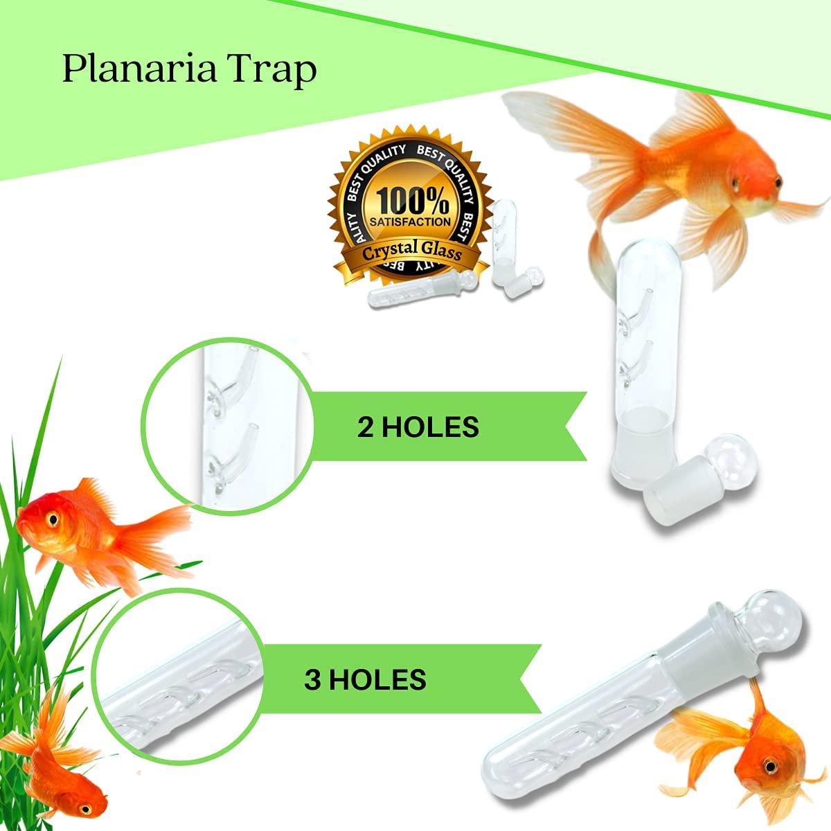 Crystal Red Shrimp Tank Planaria Trap - Bristle Worm Catcher for Cherry ...