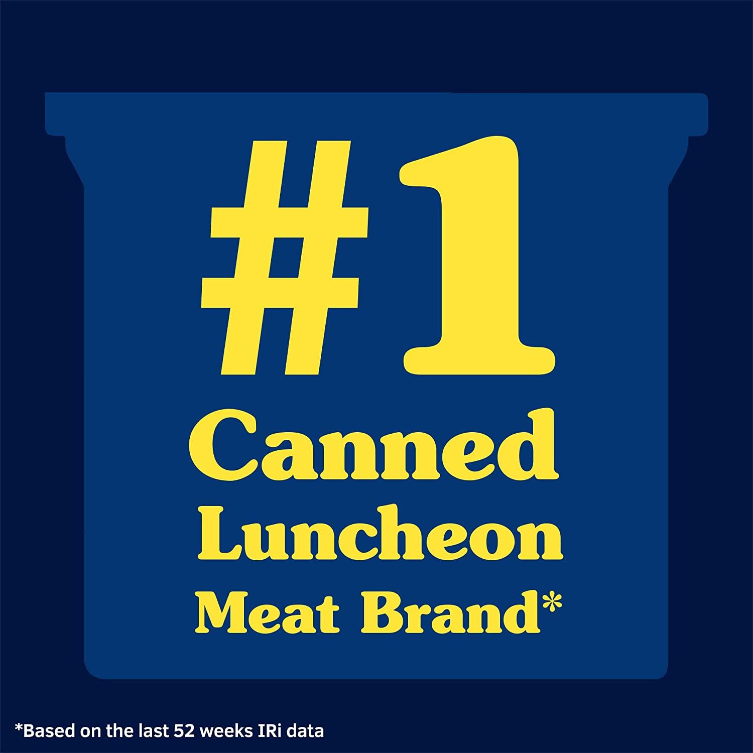Spam Single Classic 2.5oz Pouch (Pack of 24) - Convenient and Delicious ...