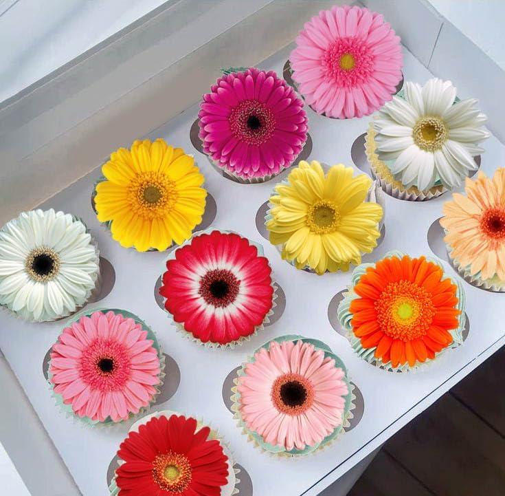 Pre-Cut Beautiful Gerbera Daisy A Edible Wafer Paper Flowers Cupcake ...