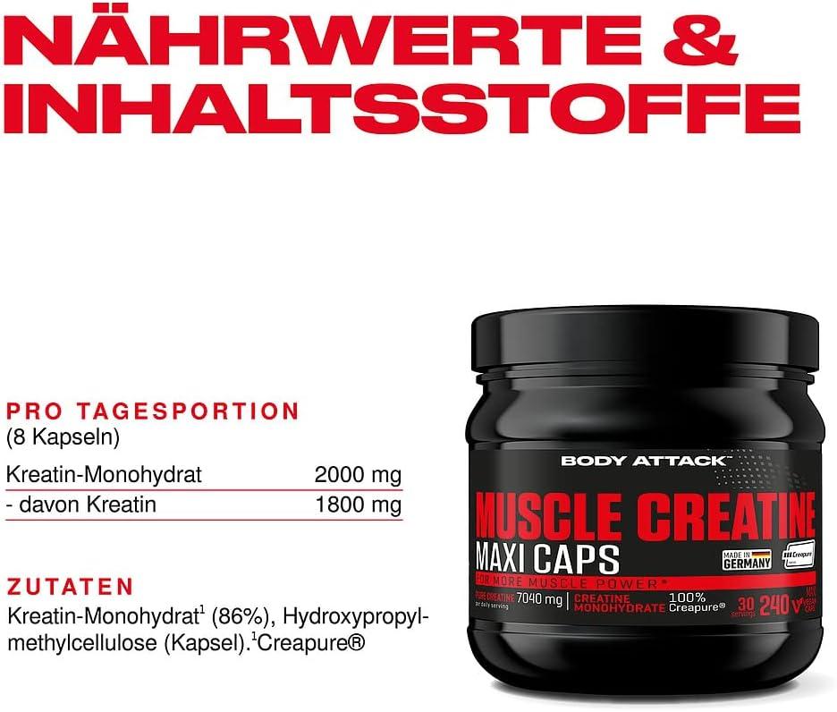 Buy Body Attack Muscle Creatine (Creapure) 240 Capsules - Powerful ...