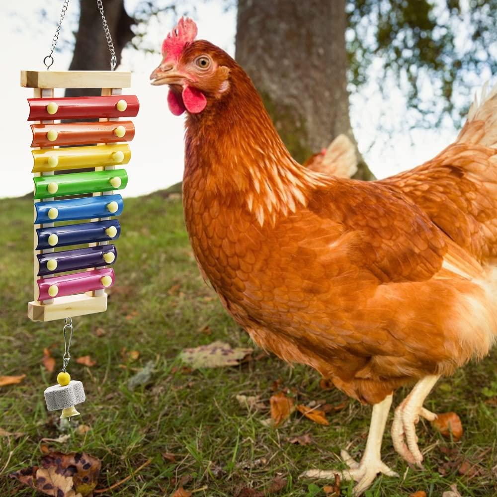 Chicken Swing and Xylophone Toys 2 Pack - Fun Entertainment for Poultry ...