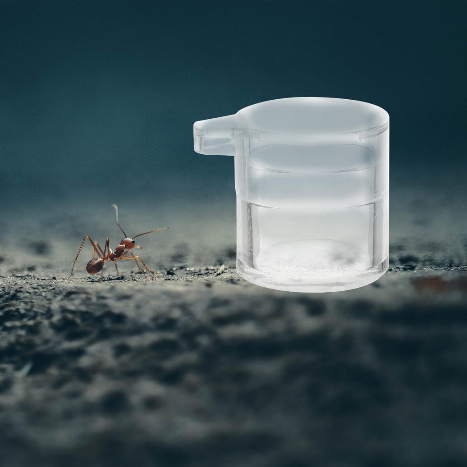 PATKAW Pet Water Feeder Ants Waterer for Garden Ants Feed Bowl Ants ...