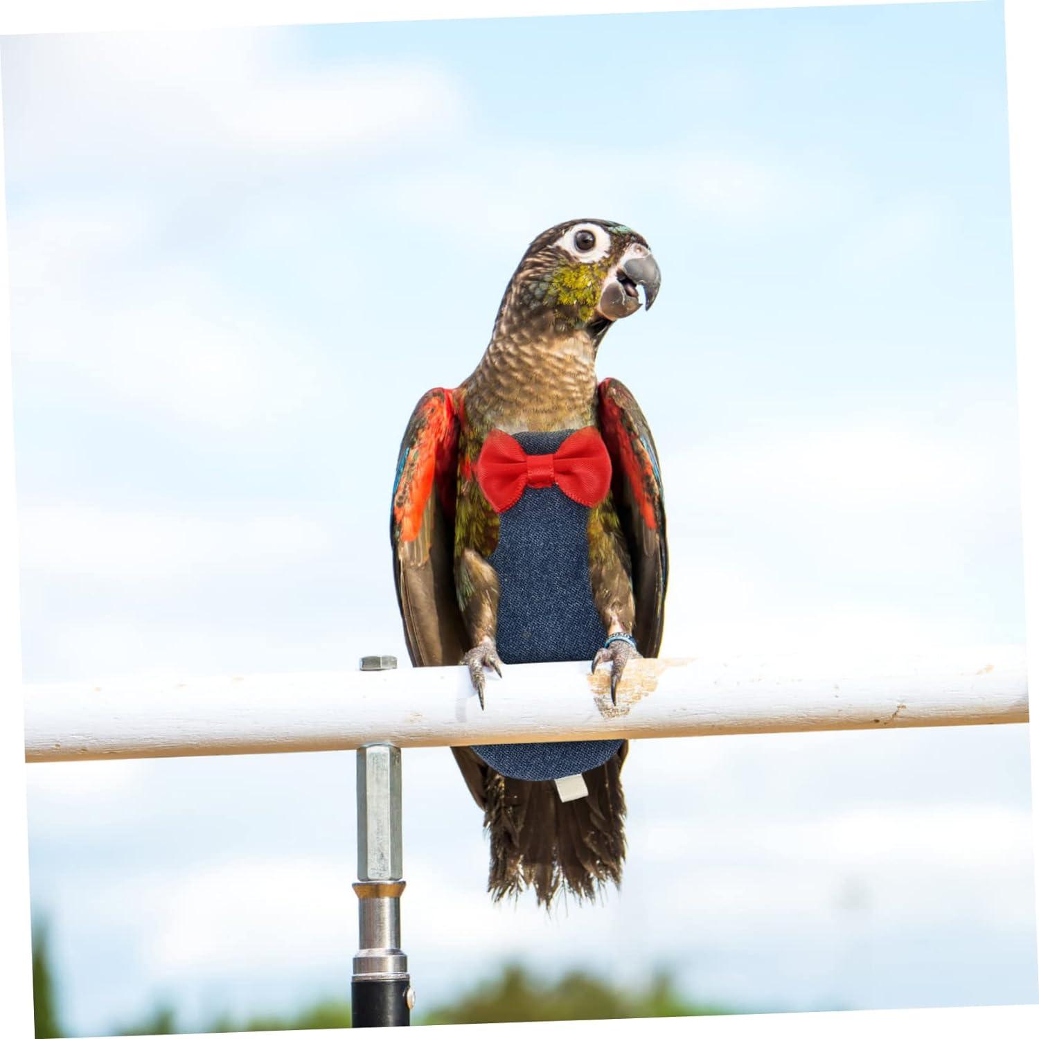 POPETPOP Flying Bird Diapers Budgie Diaper Bird Nappy Bird Clothes Bird ...