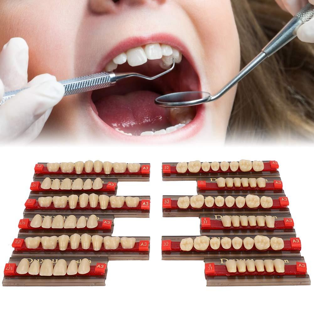Buy Complete Resin Dentures | High-Quality Artificial Teeth & Dental ...
