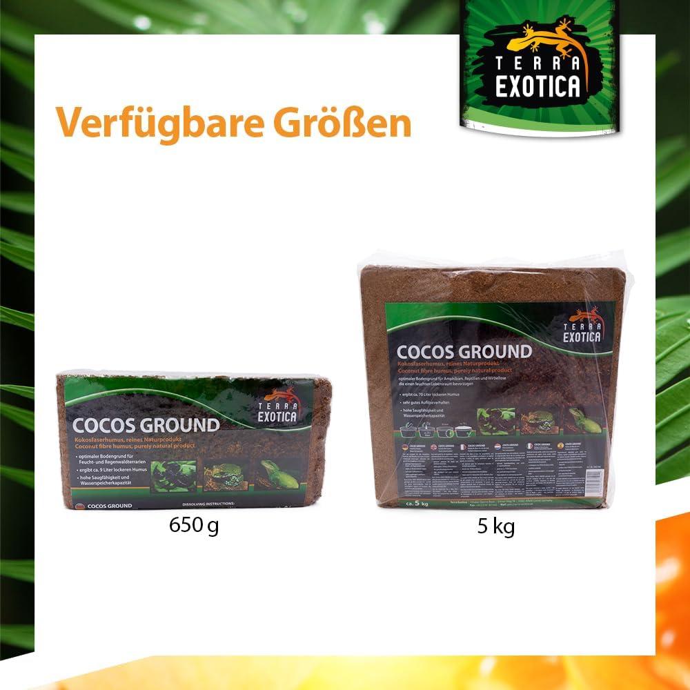 Coco's Ground Coconut Humus for Terrariums | 9L Substrate for ...