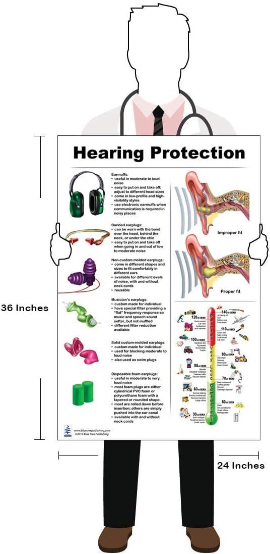 Buy Blue Tree Publishing Hearing Protection Poster 24x36 - Molded Ear ...