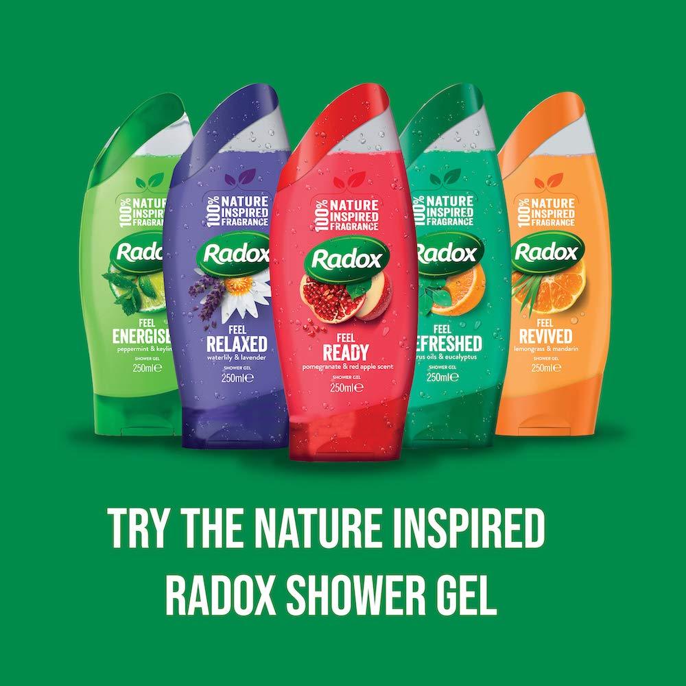 Radox Refresh Eucalyptus & Citrus Oil 2in1 Shower & Shampoo - 250ml ...