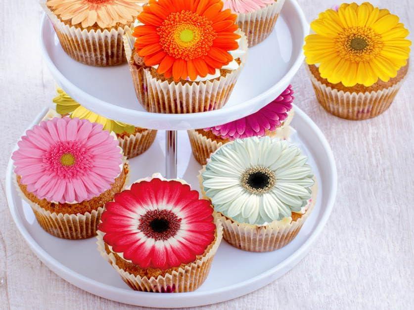 Pre-Cut Beautiful Gerbera Daisy A Edible Wafer Paper Flowers Cupcake ...