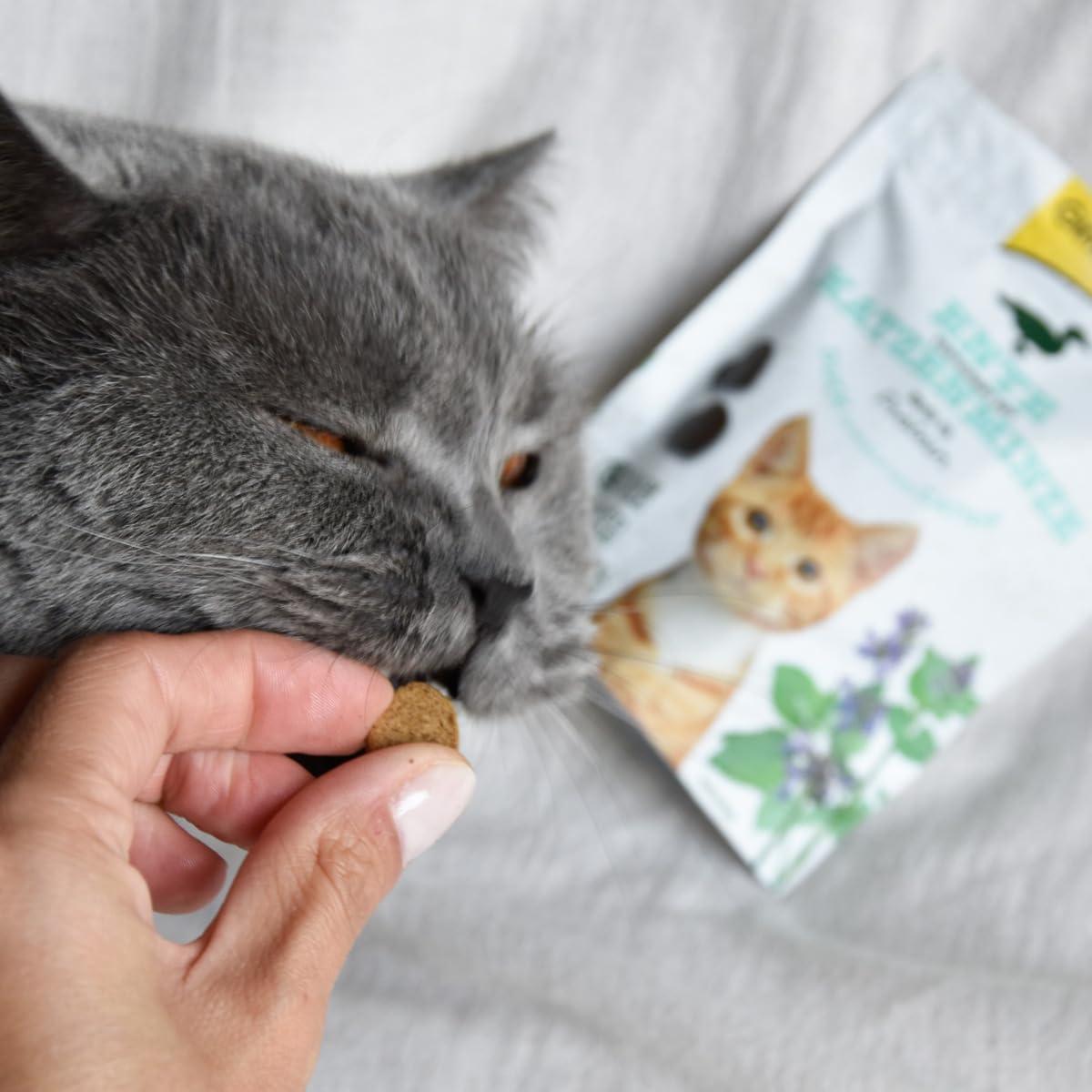 Gimcat Crunchy Snacks with Catnip - Protein-Rich Duck Delicacies No ...