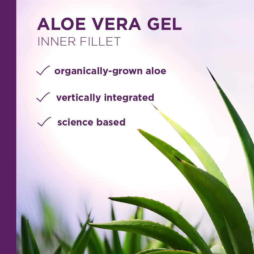 Lily Of The Desert Aloe Vera Gel - Inner Fillet, 128oz | Natural Skin ...