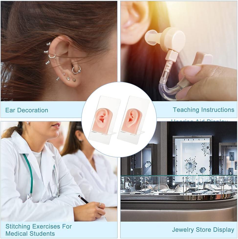 OLYCRAFT 2pcs Silicone Ear Model with Acrylic Display Stands for ...