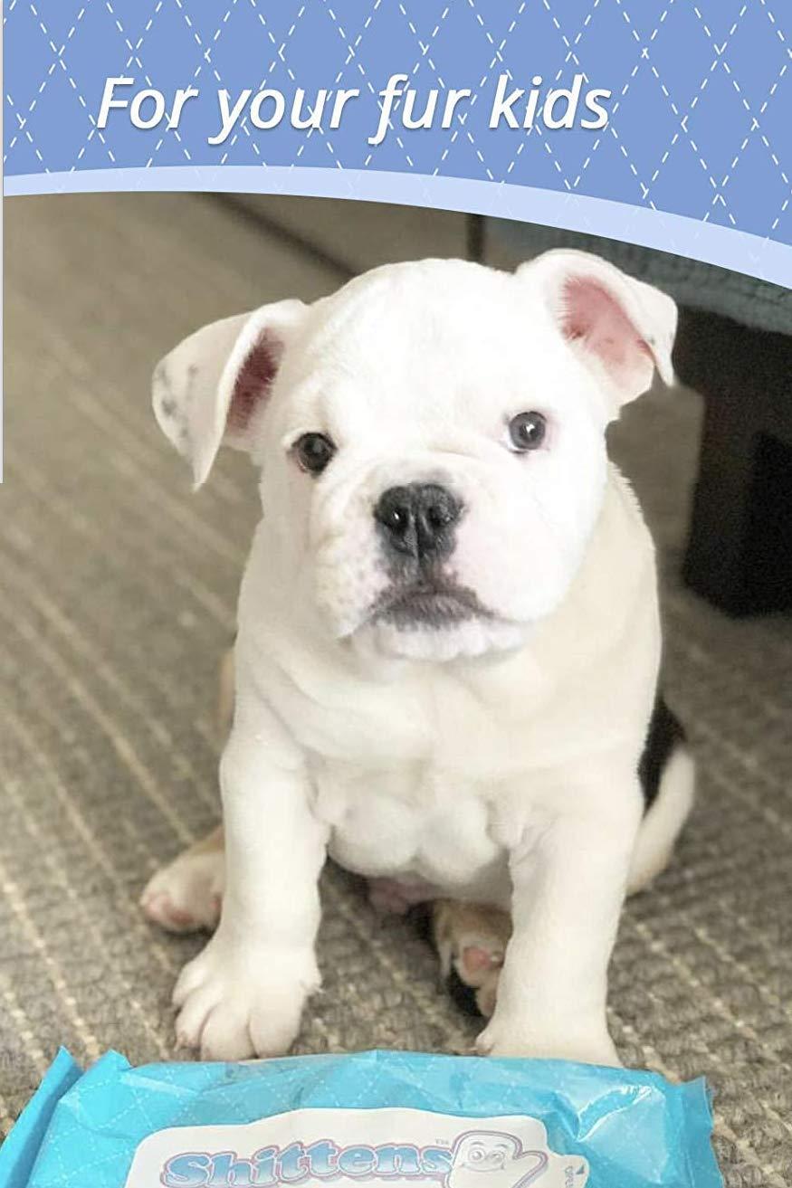 Shittens Disposable Mitten-Shaped Wet Wipes 10 Count - Pack of 1 ...