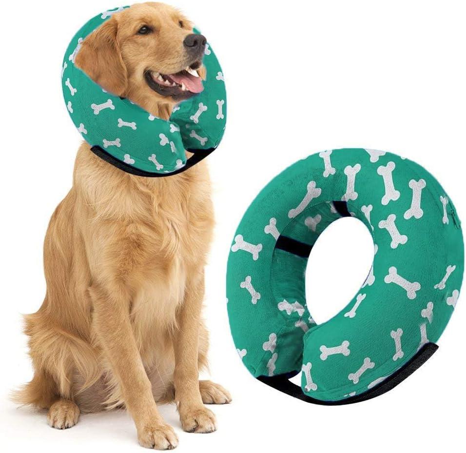 Buy Ducomi Inflatable Dog & Cat Hinges - XL Comfort for Post-Op ...