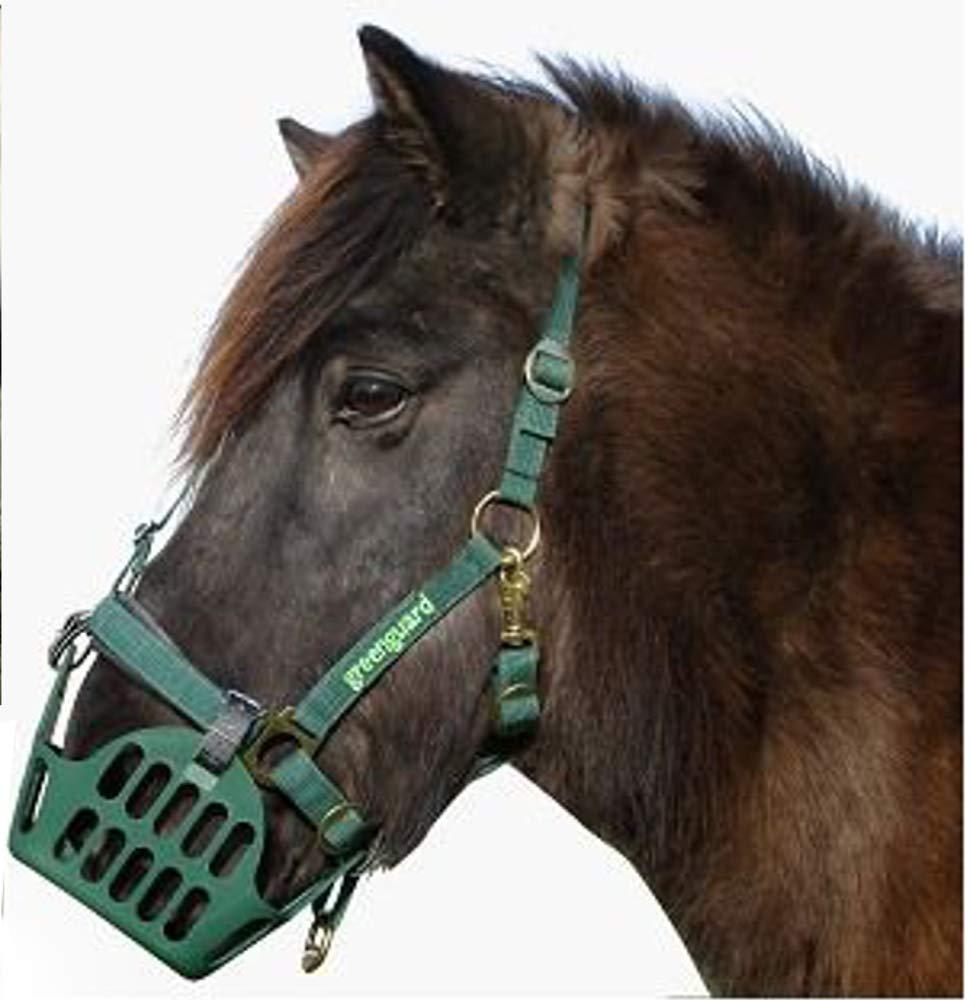 Shop GREENGUARD Set - Anti-Eating Muzzle with Halter | International ...