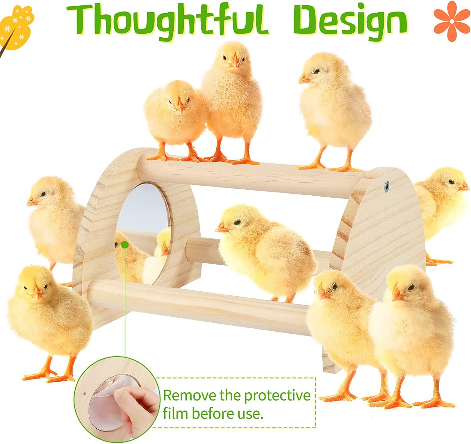 Cubolar Pine Chicken Perch with Mirror and Jungle Gym Roosting Bar ...