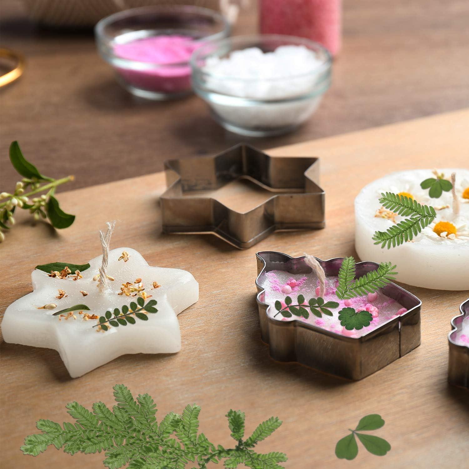 Dried Pressed Leaves and Flowers Assorted Greenery for Resin Art - 42 ...