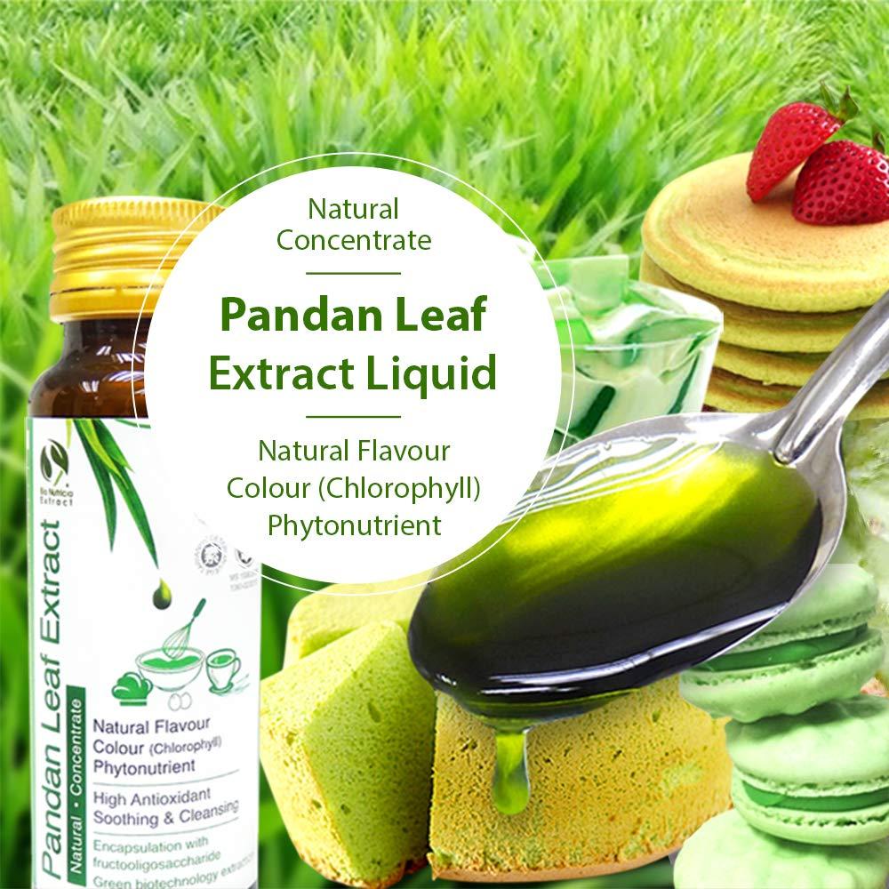 Pandan Extract Concentrate 60g | Premium East Asian Gourmet Flavoring ...