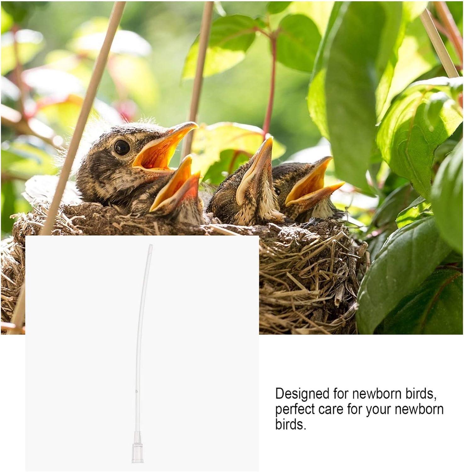 ULTECHNOVO Parrot Feeding Tube Set - 5 Pcs Bird Feeding Syringe Kit for ...