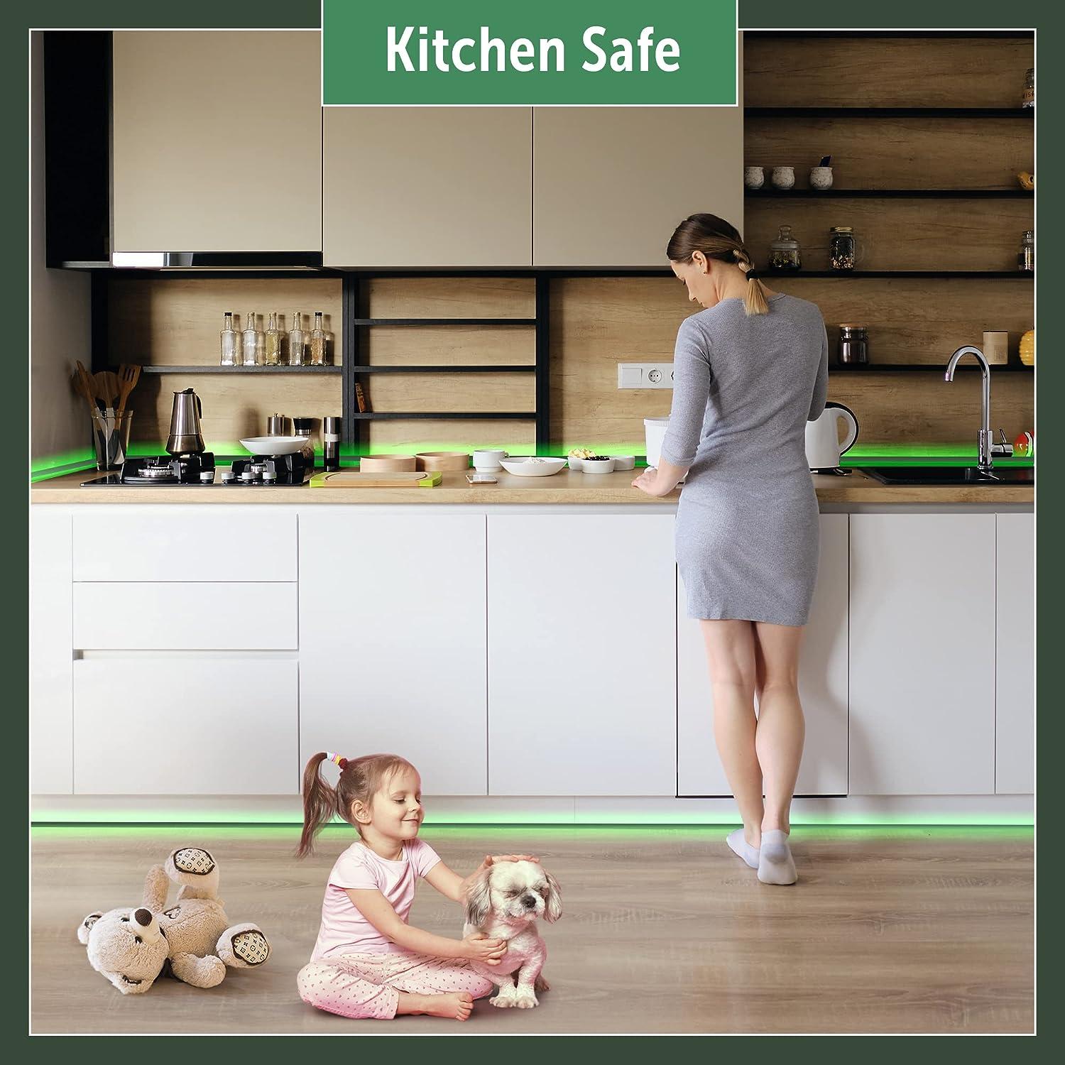 Peppermint Oil Bug Spray 16oz - Non-Toxic & Pet Safe Insect Repellent ...