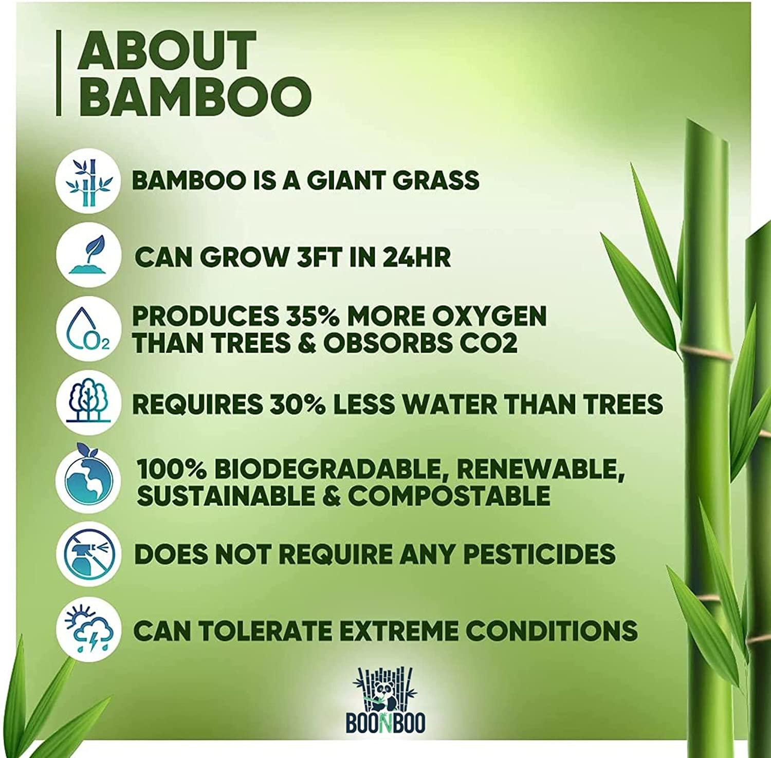 Boonboo Dental Floss Refill - 6 Bamboo Woven Fiber Rolls (600FT/180M ...