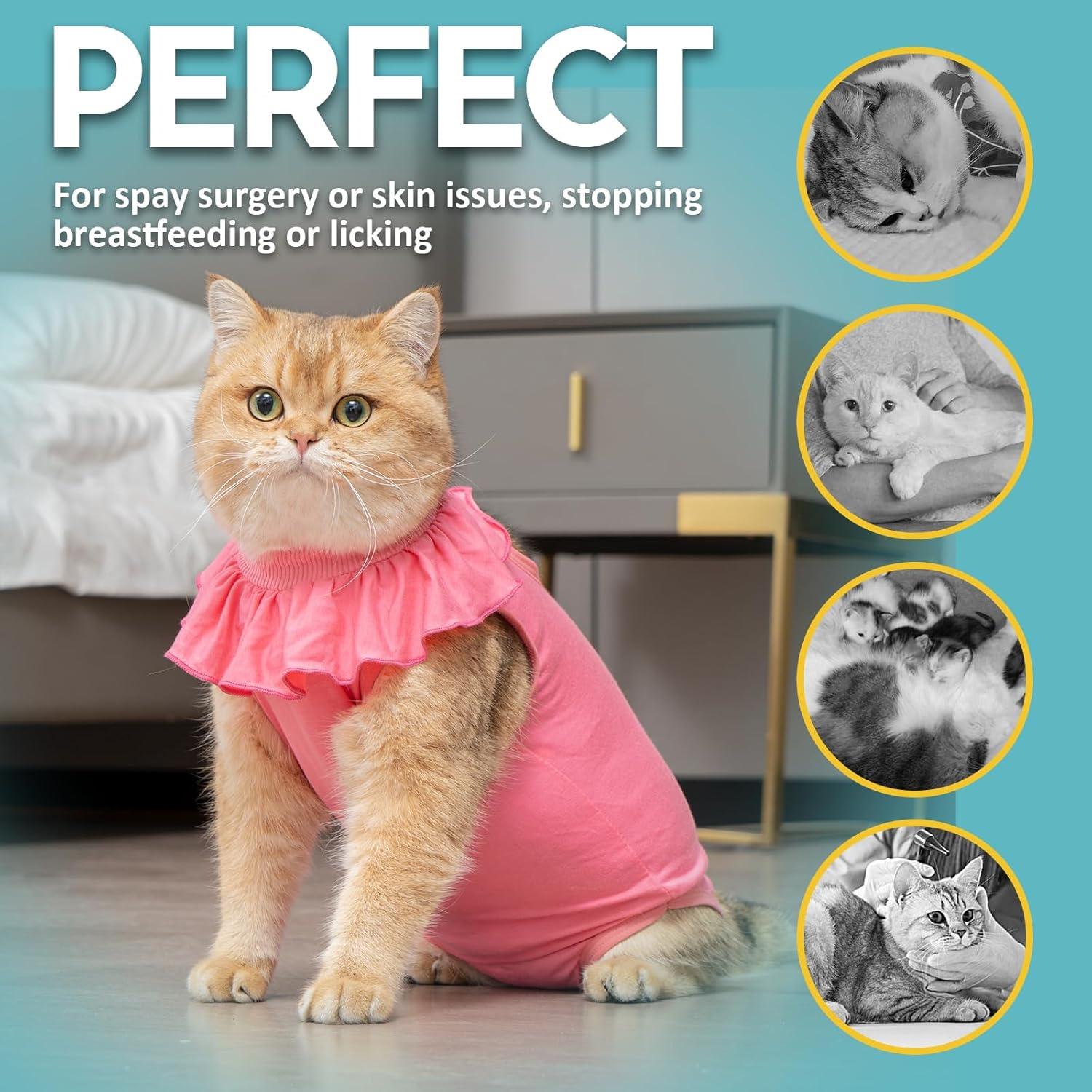 Avont Katzenbody Recovery Suit for Cats - Leak Protection Post-Surgery ...