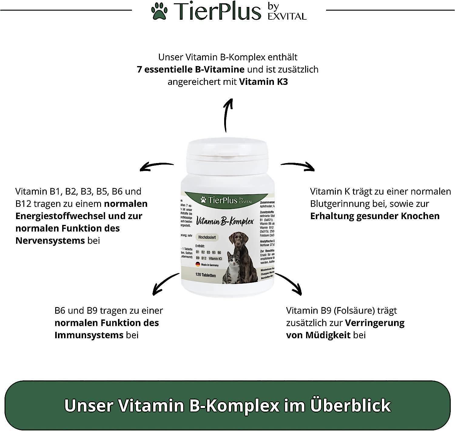 Tierplus Vitamin B Complex for Dogs & Cats - High Dosage 120 Tablets ...