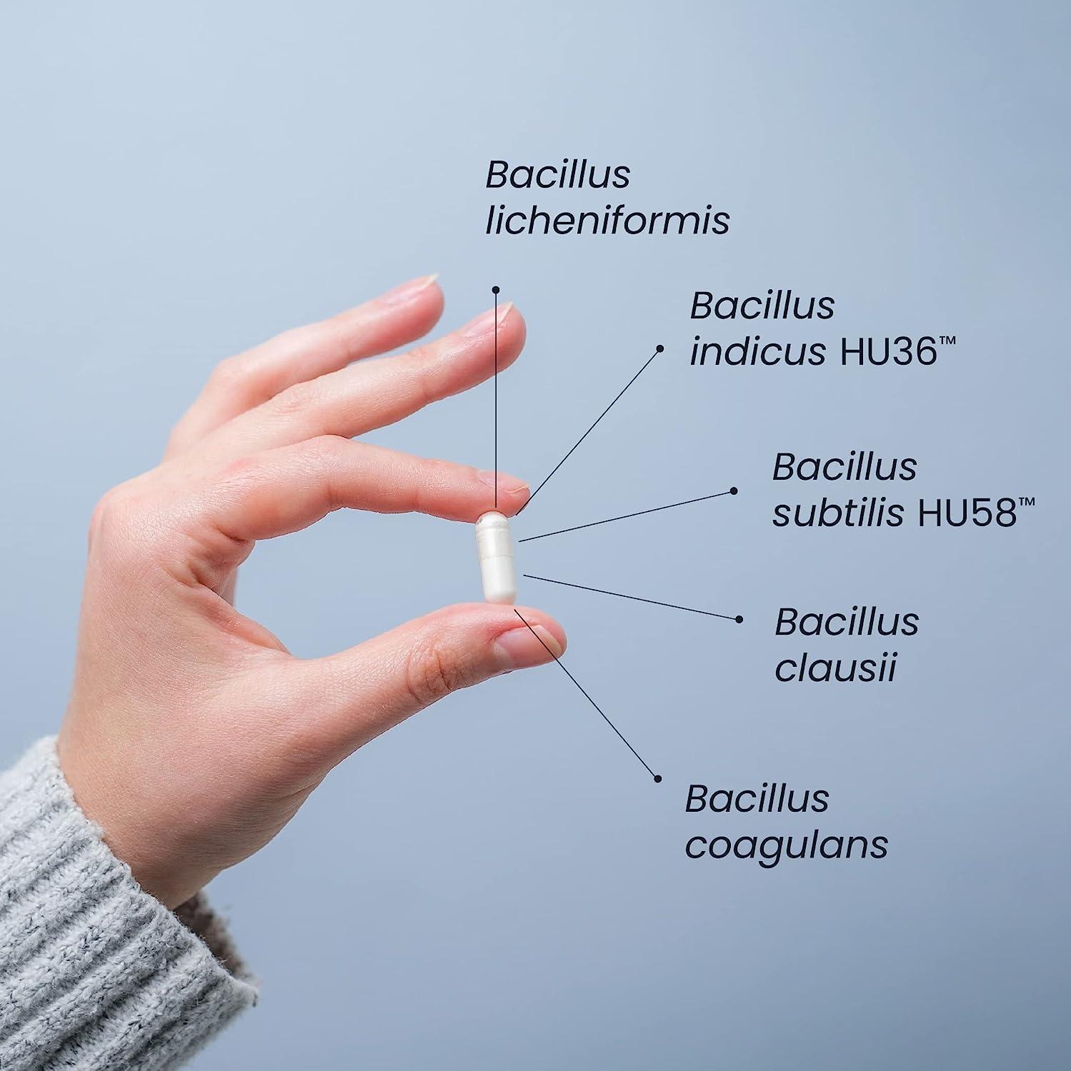 Microbiome Labs MegaSporeBiotic 180 Capsules - Spore-Based Probiotics ...