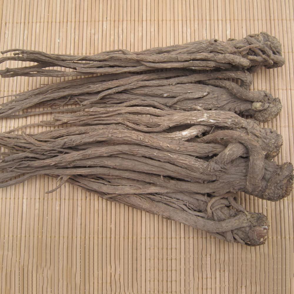 Angelica Sinensis Chinese Angelic Chinese Angelica Root Radix Angelicae ...